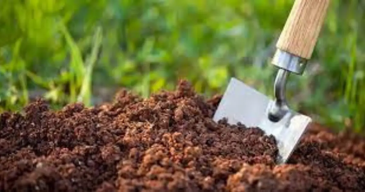 Fertiliza tus plantas de forma natural: guía completa para un ...